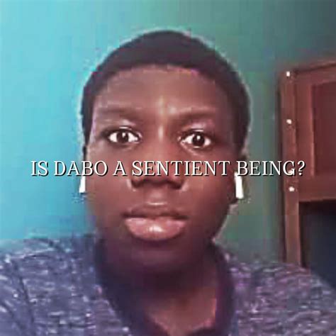 Dabo Documentary Official Trailer “what Is Dabo A Deep Dive Into A