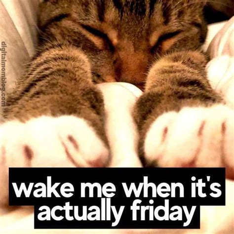 15 Friday Eve Memes That Turbo Charge Your Weekend Countdown