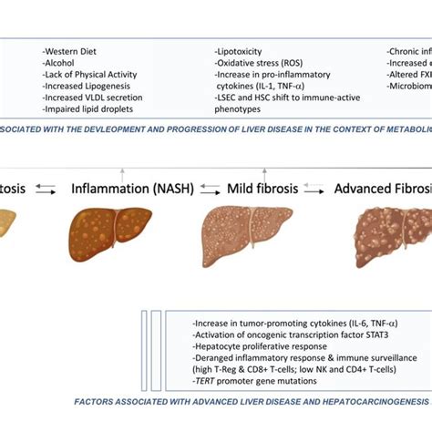 Single Nucleotide Polymorphisms Associated With Nafld Advanced