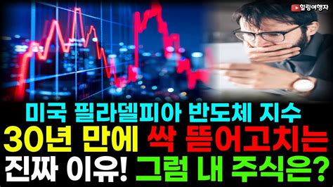 힐링여행자 투자 이야기 미국 필라델피아 반도체 지수 30년 만에 싹 뜯어고치는 이유는 내 주식은 어떻게 되는 거임 반도체