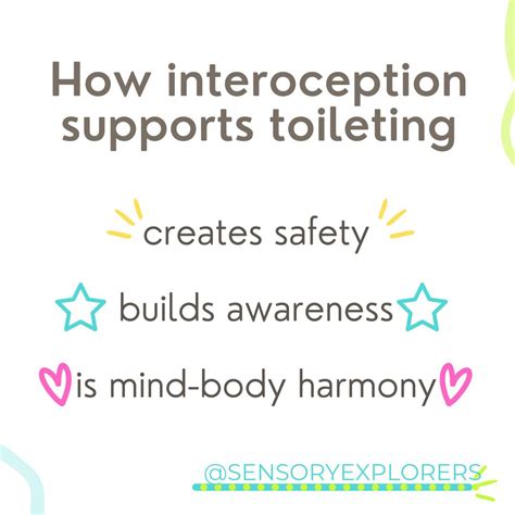 🚽 Unlocking The Power Of Interoception Sensory Explorers