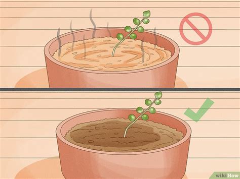 Why Does Your Soil Smell Like Ammonia How To Fix Smelly Soil