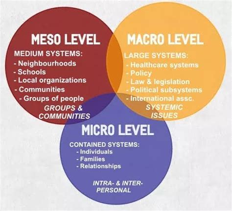 Levels Of Analysis Microsociology And Macrosociology