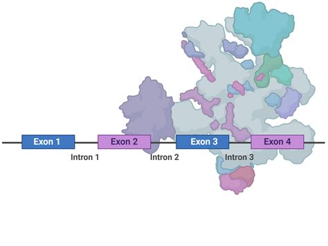 Aberrant Rna Processing In Cancer Genome Sciences Centre