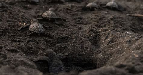 바위가 많은 지역의 클로즈업 사진 Unsplash의 해변 생활 이미지