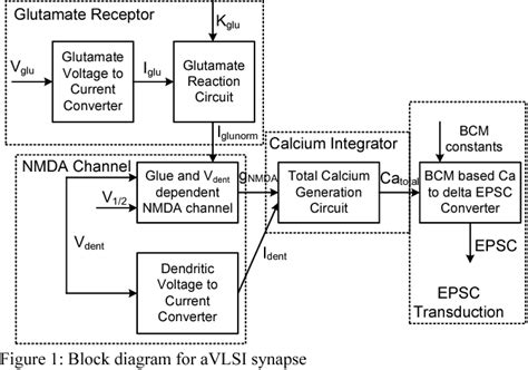 Figure 1 From Iono Neuromorphic Implementation Of Spike Timing