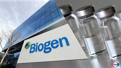 ალცჰაიმერის წამალი რომელიც ადრეული დიაგნოსტირების შემთხვევაში მუშაობს გურიის მოამბე