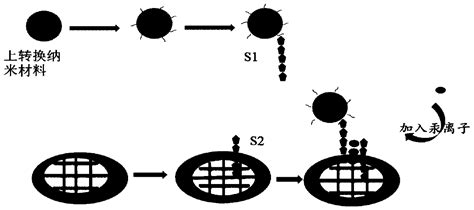 Paper Chip For Detecting Mercury Ions And Method For Detecting Mercury Ions Eureka Patsnap