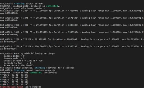 Segmentation Fault Core Dumped · Issue 208 · Marcoslucianops
