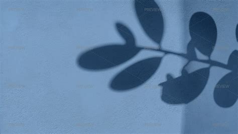 Leaves Shadow Overlay Graphics Motion Array