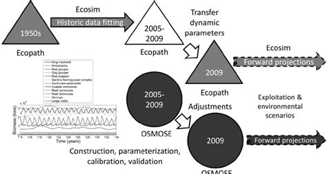Schematic Representation Of The Development Of An Ensemble Modeling For