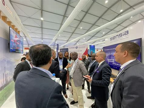 The Vice President Sales Of Sensia Rajesh Puri An Oil And Gas Process