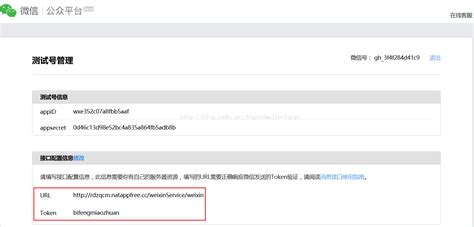 微信公众号开发系列二：公众号接口配置token验证和工程搭建signature校验微信公众号 Appmsgpublish接口token Csdn博客