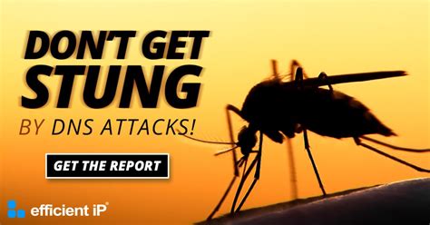 Efficientip On Linkedin Idc 2022 Global Dns Threat Report