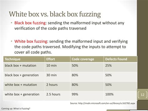 Ppt Fuzzing Powerpoint Presentation Free Download Id1500033
