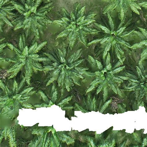 Palmtreedetection Object Detection Dataset And Pre Trained Model By Palm Trees