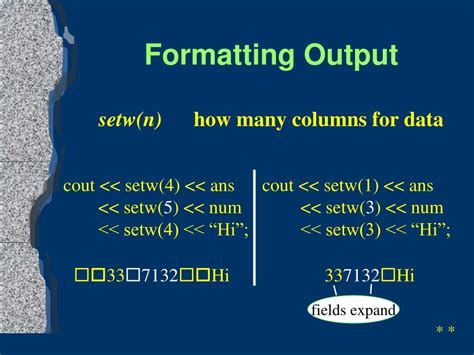 Ppt Formatting Output Powerpoint Presentation Free Download Id4337604