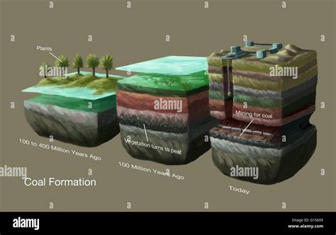 Coal Formation Coal Formation Types And Importance Online Science