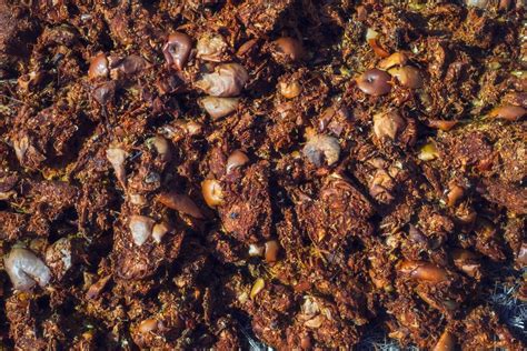 The Science Behind Composting Live Science