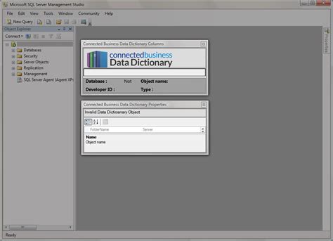 Connected Business Community Install Data Dictionary Add In