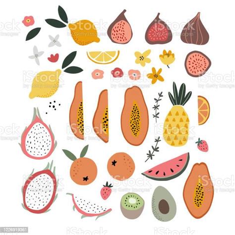 추상적 인 손으로 그린 모양 꽃 열대 이국적인 과일과 추상적 인 모양의 집합입니다 현대 예술 미니멀 한 디자인 장식 절연 벡터 그림입니다 파파야 무화과 레몬 드래곤 과일