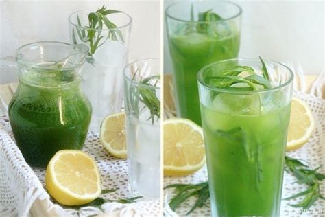 ტარხუნის ლიმონათი Gemrielia Ge