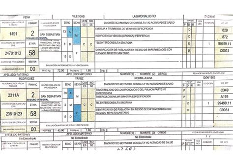 Modelo His Minsa Teleinterconsultas 2023 Pdf