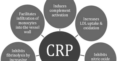 When CRP Is High EXPERT HOMEOPATHY