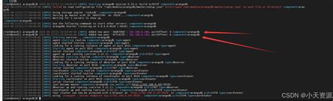 Centos7 Arangodb3 3121 社区版集群部署arangodb国内社区 Csdn博客