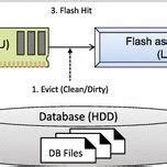 Flash As Cache Extension Overview Download Scientific Diagram