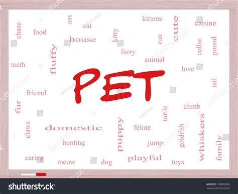 What Is Pet Word At Jason Davies Blog