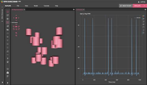 Guided Tour Of OSBv Open Source Brain Documentation