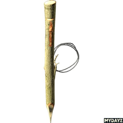 Snare Trap Mydayz Item Database