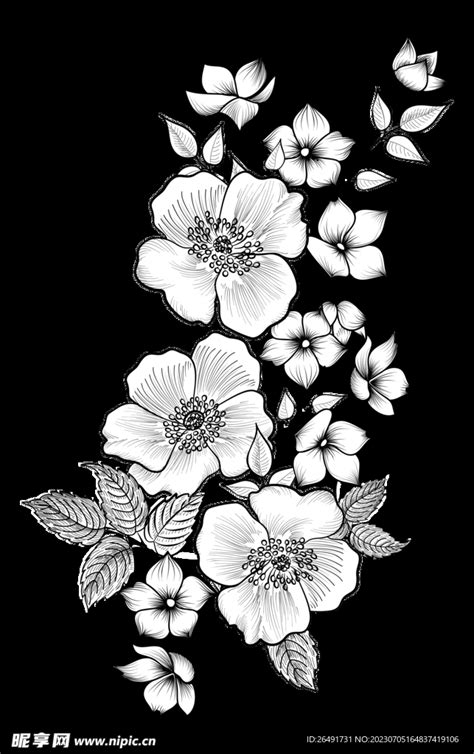 黑白手绘素描花卉花朵元素设计图 图片素材 其他 设计图库 昵图网