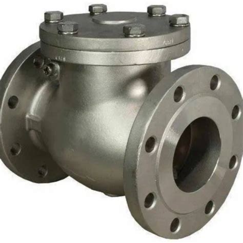 Cs Swing Check Valve At Best Price In Delhi Industrial Engineering Syndicate