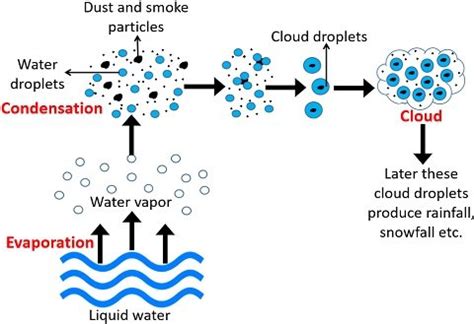 What Is Cloud Formation Cloud Fun Facts Process And Types Biology Reader