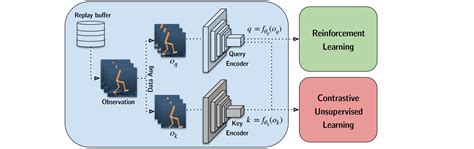 Curl Contrastive Unsupervised Representations For Reinforcement Learning 郑之杰的个人网站