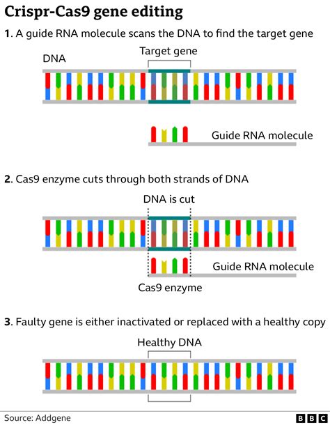Angiodema Gene Therapy Blocks Painful Hereditary Disorder Bbc News