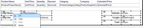Code On Time Sample Applications Order Form Report Multi Level Grouping