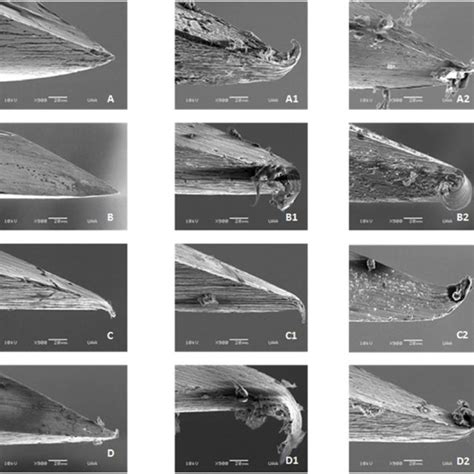 Pdf Bevel Tip Deformation In New And Used Dental Needles