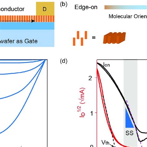 1 A Structure Of A Bottom Gate Top Contact Transistor B Charge Download Scientific Diagram