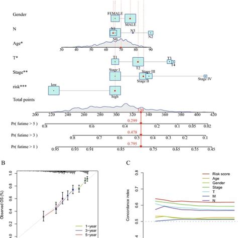 A A Nomogram To Predict 1 3 And 5 Year Os Of Patients With Lung Download Scientific