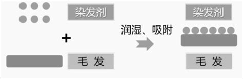 染发剂机理 知乎