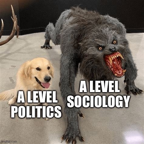 My Mocks In A Summary R 6thform