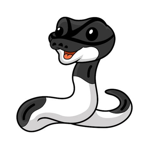 Premium Vector Cute Panda Pied Ball Python Cartoon