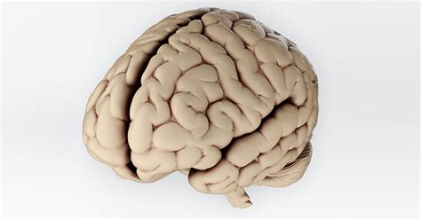 Microvascular Decompression Atlanta Ga Spine Surgery