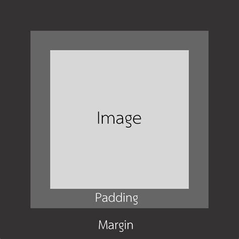 Dev Tip Padding VS Margin Arnondora
