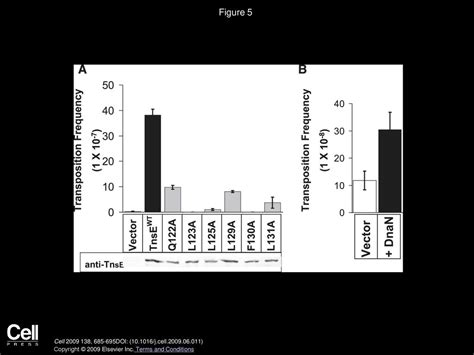 Volume 138 Issue 4 Pages August 2009 Ppt Download