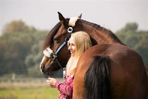Hd Wallpaper Horse Human Woman Girl Friendship Togetherness