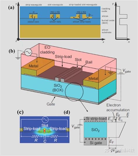 Ieee Sensors Journal用于生物传感器应用的硅基光电子传感器 知乎